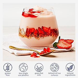 EasiYo Yogurt Starter Kit | EasiYo Yogurt Maker, Storage Jar and Greek Style Strawberry Flavored Yogurt Base (35oz, Makes 7 Servings) | Fresh Homemade Yogurt | New Zealand Milk from Grass Fed Cows