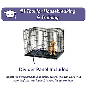 MidWest Homes for Pets Newly Enhanced Single & Double Door iCrate Dog Crate, Includes Leak-Proof Pan, Floor Protecting Feet , Divider Pane l & New Patented Features