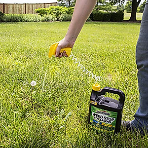 Spectracide Weed Stop For Lawns, Ready-to-Use, 1-Gallon