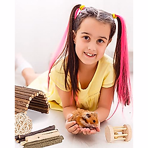 Sofier Hamster, Guinea Pig Toys Accessories Natural Chews for Teeth Rabbit Bunny Rat Chinchilla Hideout Ball Apple Wood Timothy Hay Sticks