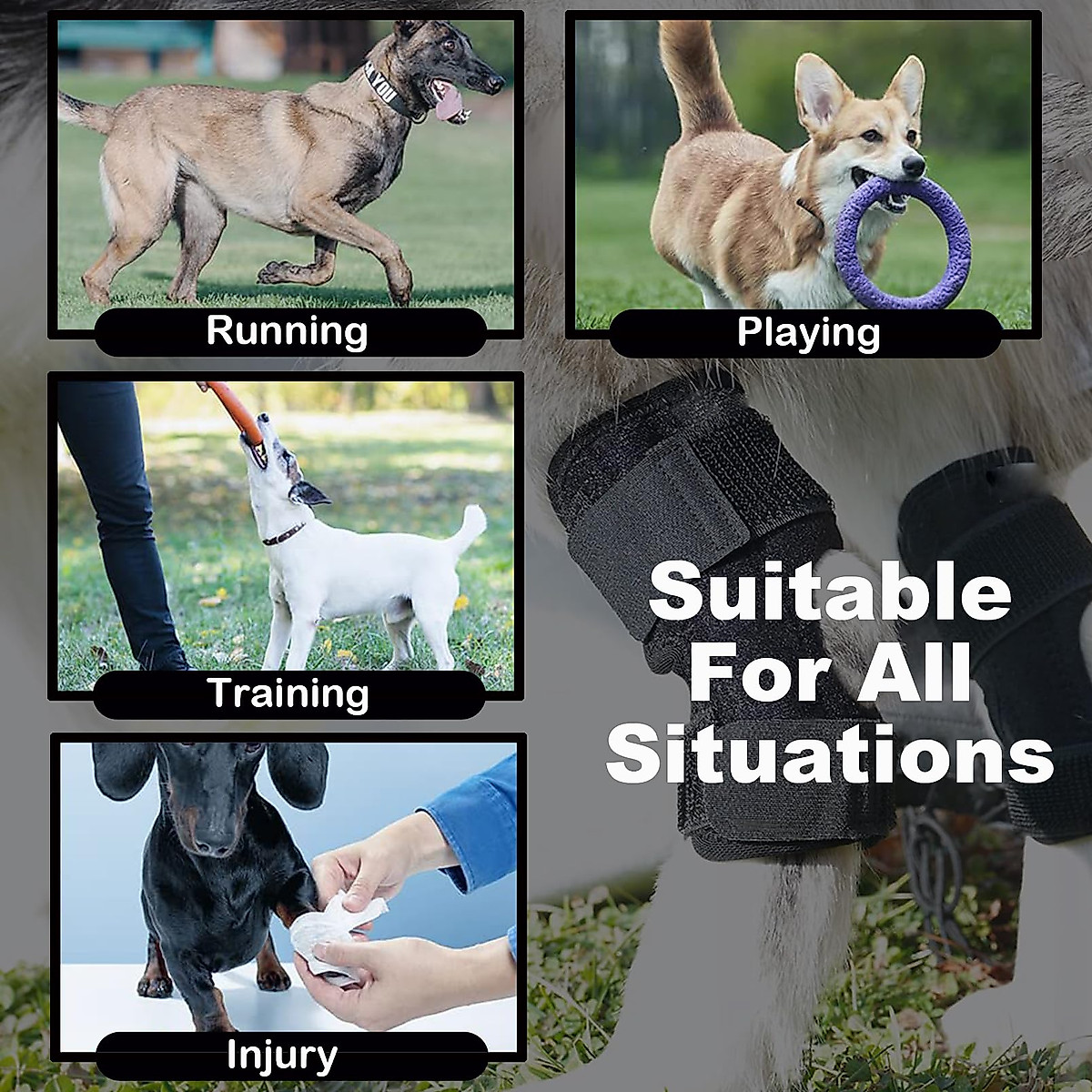 IEhotti Dog Leg Brace for Rear Leg/Hock/Ankle, Dog Hip Brace for Bottom Joint Post-Operative Recovery, Strong Support Help, Dog Braces for Torn ACL CCL Leg Injuries, 1 Pair, Medium