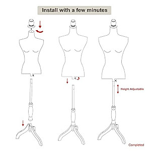 Female Dress Form Mannequin Body Torso Stand with Adjustable Height Stand Dress Form for Display or Decoration, Black