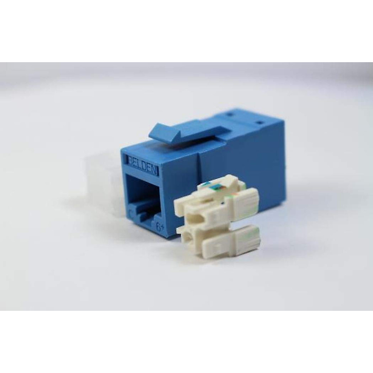 Belden RV6MJKUBL-B24 CAT6+ Revconnect Modular Jack Blue Pack of 24
