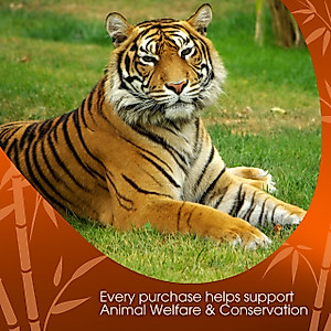 David Rio Mix, Tiger Spice, 14 Ounce (Pack of 1)