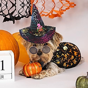 Dog Halloween Costumes for Small Medium Dogs Cats Boy Girls Cute Pumpkin Spider Puppy Hat Glasses Witch Cape Plaid Necktie Pet Halloween Cosplay Clothes Outfits Apparels (hat + Glasses + Cape)