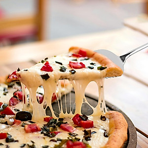 KEJJNYER 20 Pcs Pie Server Cake Servers Stainless Steel Cake Server Spatula, 9 Inch Silver Pizza Pie Serving for Dessert Pastry