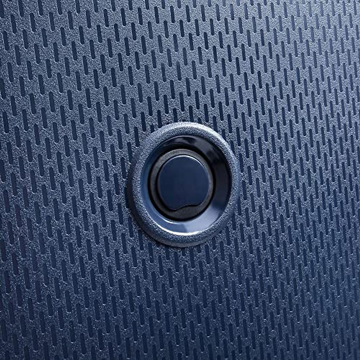 DELSEY Paris Adults-Unisex's, Blue, L (76 cm-102 L + 10 L)