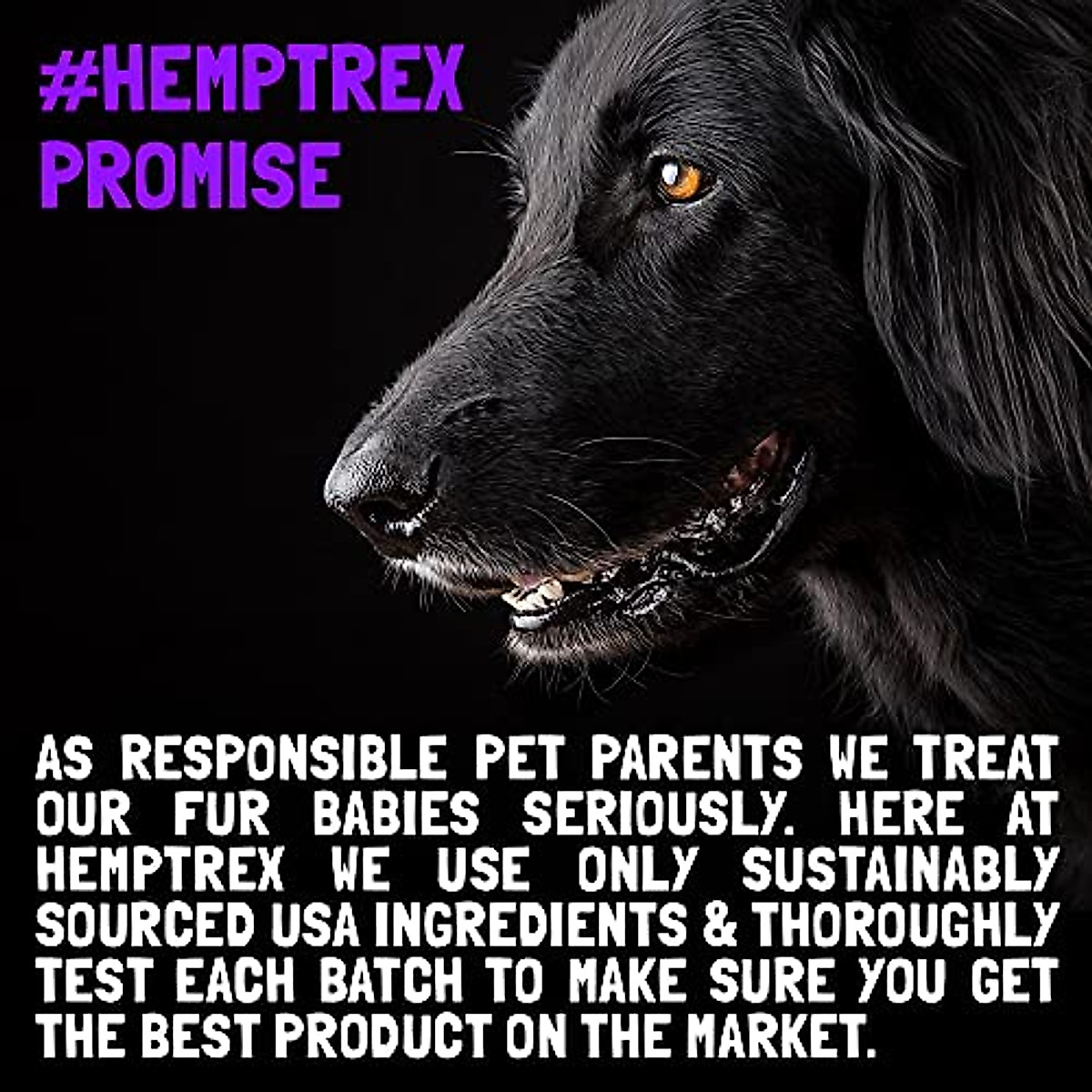 Calming Hemp Treats For Dogs - Made in USA with Organic Hemp - Dog Anxiety Relief - Natural Separation Aid - Helps with Barking, Chewing, Thunder, Fireworks, Aggressive behavior 30 Soft Chews