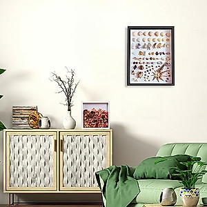 Califortree 8x8 Shadow Box Picture Frame - Memory Box Display Case for Memorabilia Flower Awards Medals Wedding Photos and Keepsake, Black