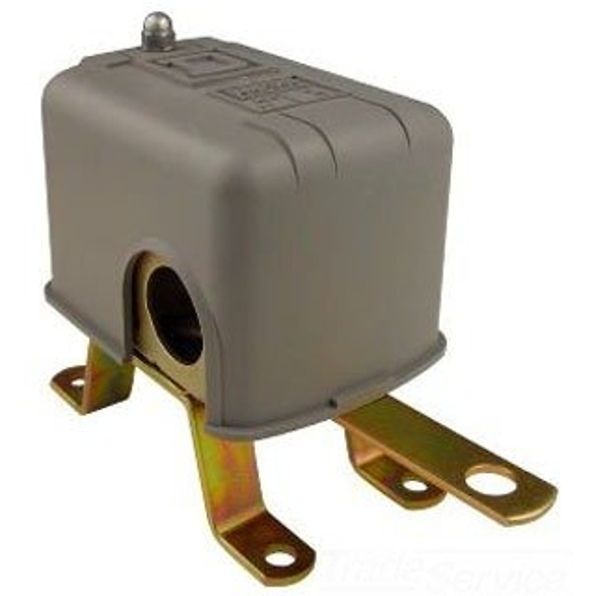 Telemecanique Sensors 9036DG2CR Commercial Open Tank Float Switch, NEMA 1, Contacts Open on Rise