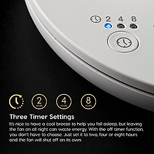 IRIS USA WOOZOO Oscillating Fan, Vortex Fan, DC Motor Quiet and Eco Friendly, 8-in-1 Fan w/ Remote/ Timer/ Multi Oscillation/ 10 Speed Settings, 89ft Max Air Distance, Medium, White