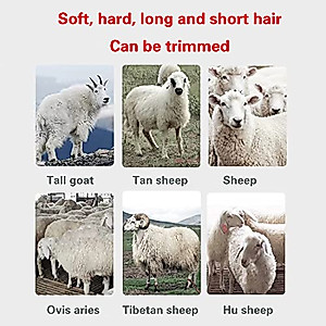 Sheep Shears Replacement Blades Straight 13 Tooth for fit Oster,Heiniger,Lister,Sheep Clippers for Close Trimming of Sheep,Goats, Llamas, and Alpacas.