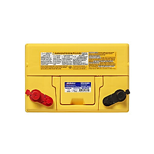 ACDelco M24AGM Professional AGM Voyager BCI Group 24 Battery