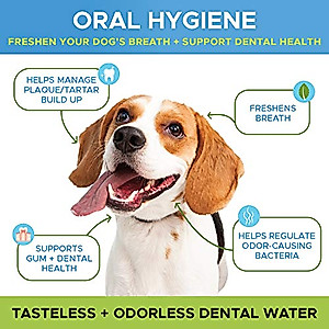 PetHonesty Oral Hygiene Dental Water Additive | Dog Mouthwash + Teeth Cleaning | Keeps Teeth + Gums Clean | Freshens Breath + Targets Plaque + Tartar - 8 oz