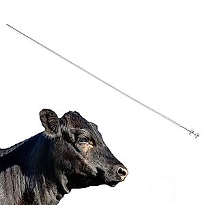 GLOGLOW Cattle Insemination Syringe, Stainless Steel Casu Type Cow Seeding Needle Fertilization Tool Farm Tools Accessory(S)