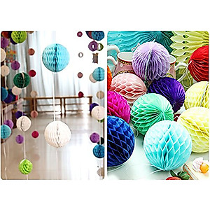Daily Mall 10Pcs 8 inch Art DIY Tissue Paper Honeycomb Balls Party Partners Design Craft Hanging Pom-Pom Ball Party Wedding Birthday Nursery Decor (Colorful)