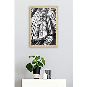 MCS Studio Gallery 16x24 Poster Frame Natural Woodgrain, Vertical & Horizontal Wall Hanging Large Picture Frame for Photos, Posters & Art Prints (1-Pack)