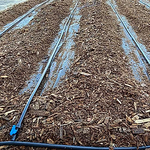 Beginner Garden Drip Tape Kit A-BV-B Irrigation-Mart