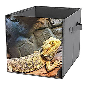 Bearded Dragon Collapsible Storage Bins Cubes Organizer Trendy Fabric Storage Boxes Inserts Cube Drawers 11 Inch