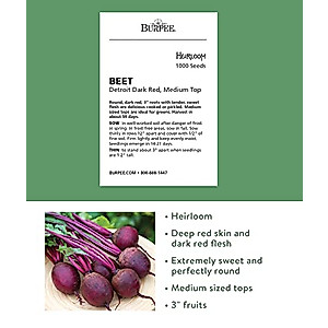 Burpee Detroit Dark Red Medium Top Beet Seeds 1000 seeds