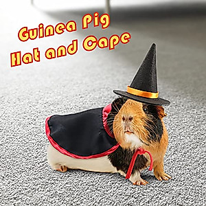 RYPET Guinea Pig Holiday Costumes - Guinea Pig Hat and Cape for Ferret Chinchilla Bearded Dragon and Other Similar Sized Animal