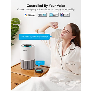 GoveeLife Air-Purifier Replacement Accessories for H7120,H11 HEPA