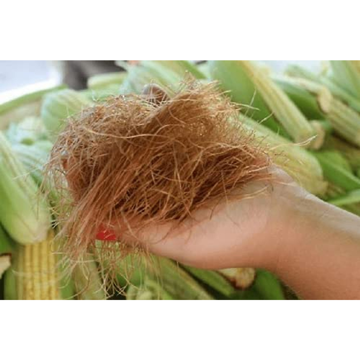 Yerbero - Te Herbal Barbas de Elote 2oz (56gr) Pelos De Elote Herbal Tea (Cornsilk Tea) Stand Up Resealable Bag Crafted By Nature100% All Natural Fresh Tea Tea | Non-GMO |Gluten-free.