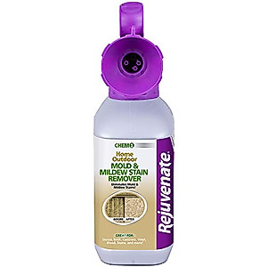 Rejuvenate High Performance Dual Bottle 32oz Outdoor Window Cleaner & 32oz Mold and Mildew Stain Remover with Hose-End Attachment