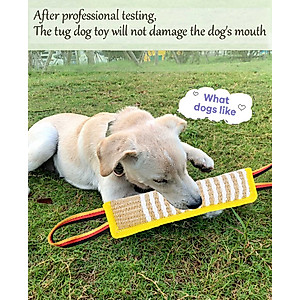 Clysoru Dog Tug Toy Dog Tough Jute Bite Pillow - Durable Training Equipment - Puppy to Large Dogs Interactive Toy for Large Dogs and Small Dogs