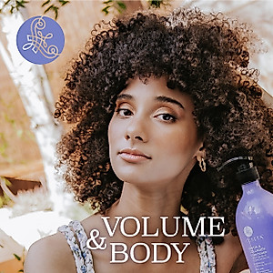 Luseta Biotin and Collagen Shampoo Hair Growth Shampoo16.9oz, Hair Loss Shampoo for Men and Women, Hair Thickening Shampoo for Thinning Hair with Vitamin B7 & Argan Oil, Sulfate & Paraben Free