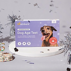 Embark Dog Age Test Kit - Estimates Age and Birthday - DNA Methylation - Best for Dogs Past Puppy Stage - Includes Life Stage Care Tips - Great for Rescue Dogs