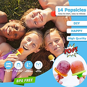 Silicone Popsicle Molds 14-cavity DIY 2Pcs Ice Pop Mold with Colorful Sticks For egg biting ice cream molds baby food storage containers non stick cake molds (Purple&Blue)
