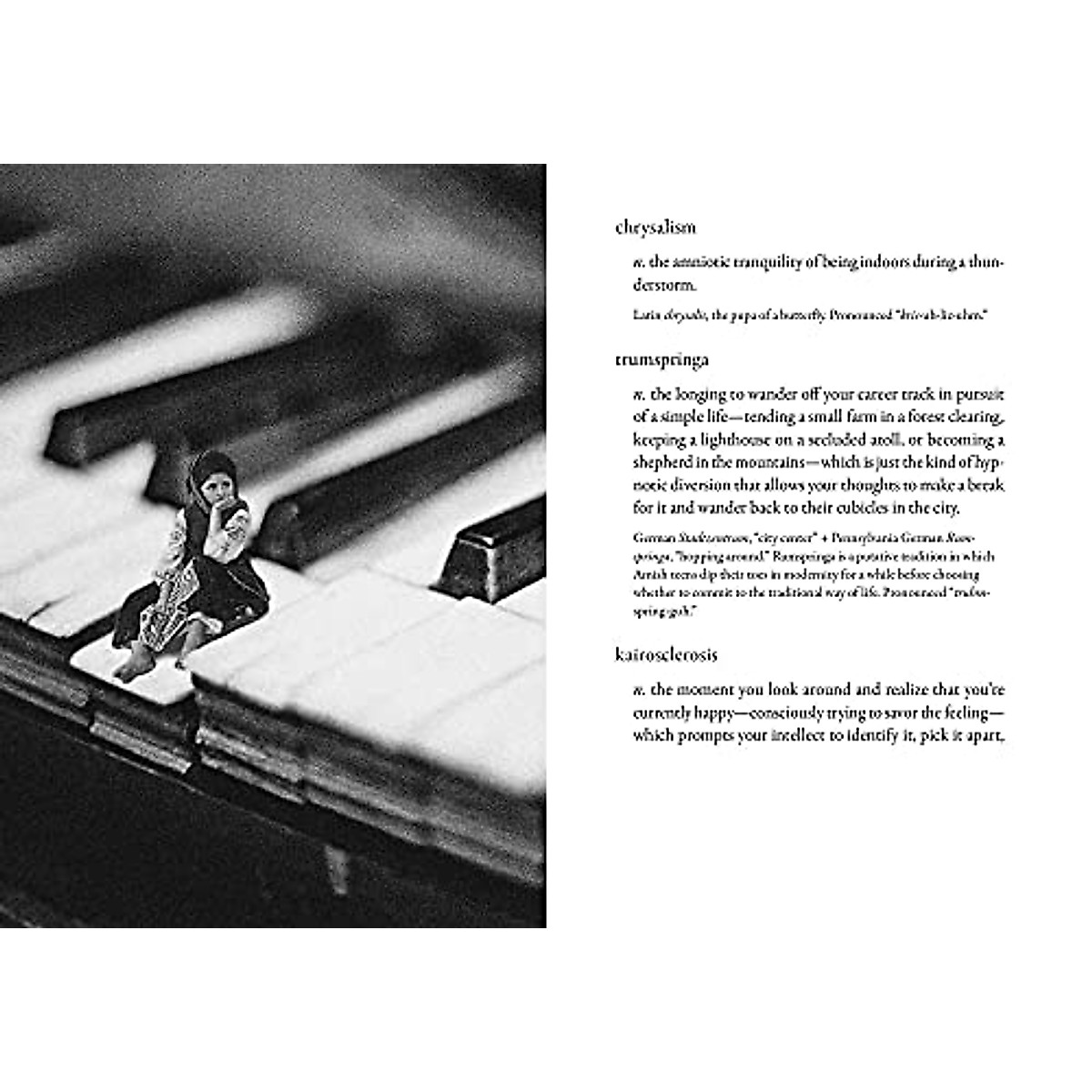 The Dictionary of Obscure Sorrows