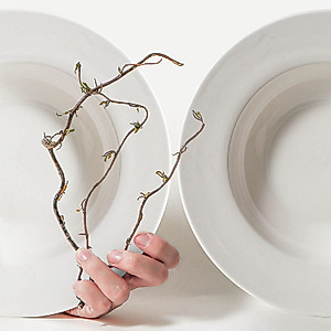 Artena Pasta Bowls 20oz, Large Salad Serving Bowls, 10 inch White Soup Bowls, Porcelain Pasta Bowls Set of 4, Rimmed Deep Pasta Plates, Wide and Shallow Bowls for Dinner, Microwave Dishwasher Safe