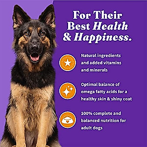 Halo Holistic Adult Dog Grain Free Cage-Free Chicken & Sweet Potato Recipe 21 lb Bag