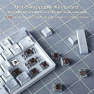 SOLAKAKA SK961 RGB Wireless 60 Percent Keyboard Supports Triple Mode Connection(BT5.0+2.4GHz+Type C Wired),Hot Swappable Gaming Keyboard 60% Percent Keyboard with Customizable Software,Brown Switch
