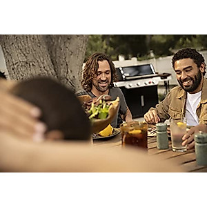 Weber Genesis EX-325S Liquid Propane Smart Grill, Black