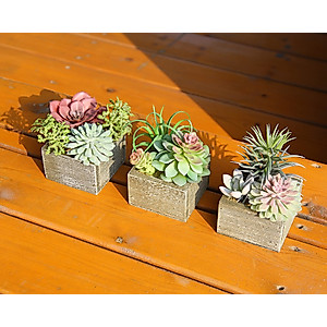 Mingfuxin Artificial Succulents Plants, Mini Assorted Green Fake Plants in Pots, Small Succulents Plants Artificial with Wood Potted for Bathroom Home Office Living Room Table Decor Indoor, Set of 3