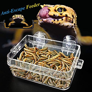 Fuongee Reptile Gecko Feeder Dish Bowl Chameleon Worm Anti-Escape Bowl Suction Cup Feeder for Reptiles, 1 Feeder and 2 Feeding Tong