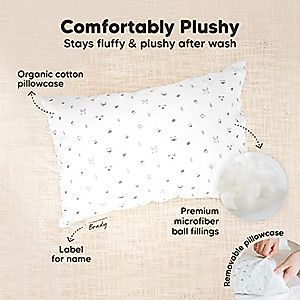 Mini Toddler Pillow with Pillowcase - 9x13 My Little Dreamy Mini Pillow, Organic Toddler Pillows for Sleeping, Kids Pillow, Small Pillows, Travel Pillows for Sleeping, Toddler Bed Pillows (Acorn)