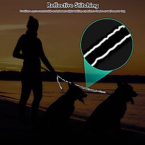 2 Dog Leash,Double Dog Leash Coupler Tangle Free Bungee Dog Leash, 360° Swivel No Tangle Double Dog Walking & Training Leash, Comfortable Shock Absorbing Reflective Bungee Lead Walk 2 Dogs with Ease
