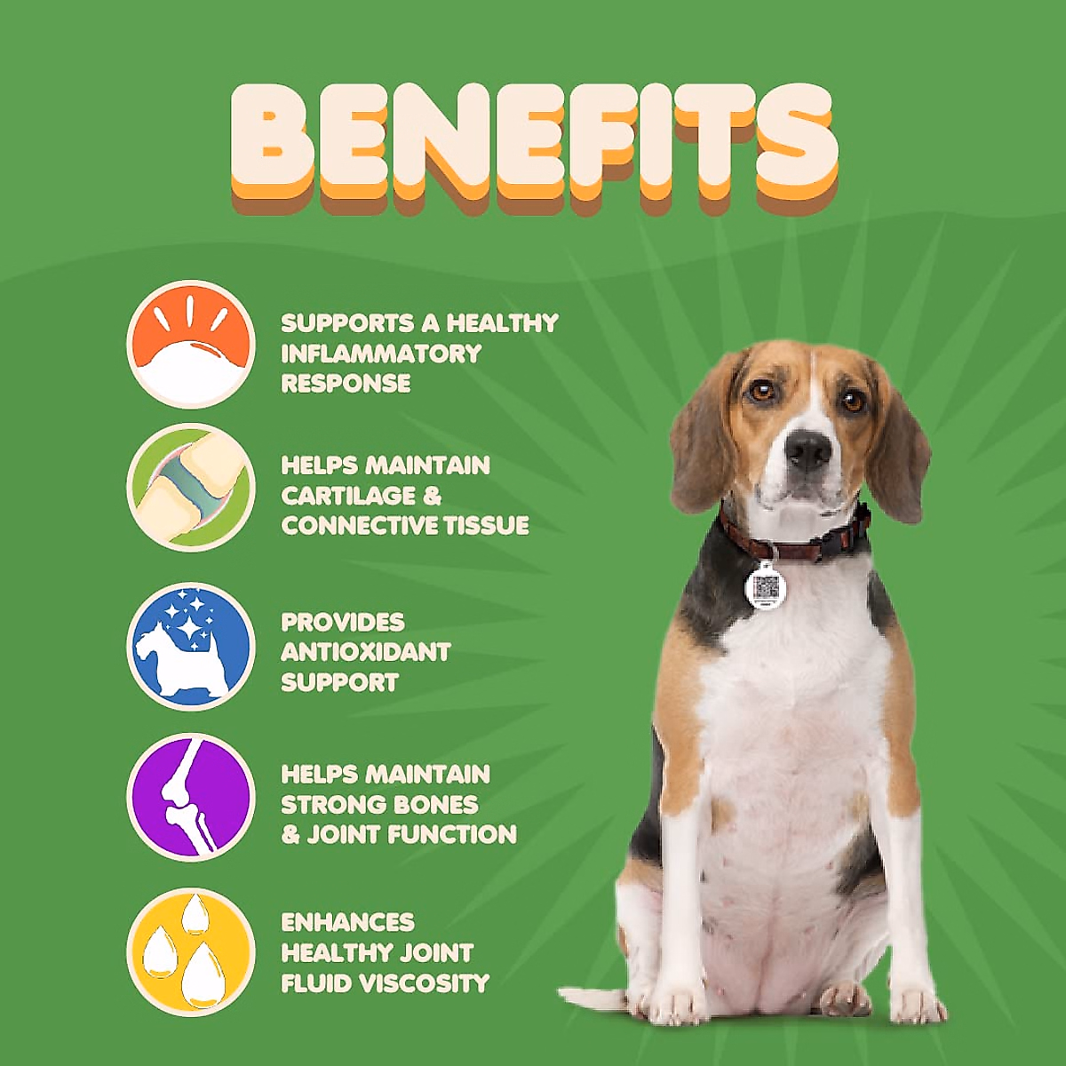 Joint Supplement for Dogs | 90 Turmeric for Dogs Chews Plus Fish Oil, Glucosamine for Dogs Chondroitin, MSM + Vitamin C for Dogs | Dog Hip and Joint Supplement Dogs Mobility Support & Dog Pain Relief