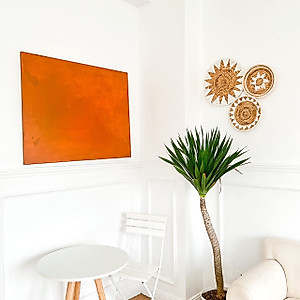 Desantiago Boho Wall Basket Decor - Set Of 3 White Round Wall Baskets Decorative, Decorative Hanging Baskets, Black Wicker Baskets Decorative, Corner Hanging Basket