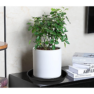 Angde 2 Pack of Plant Saucer 14 inch, Plastic Plant Saucers 14" Round, Flower Trays for Indoors Outdoor, Plant Drip Trays for Pots, Plant Water Tray for Planter 13-15" (14", Black)