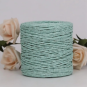 100g/ball Raffia Yarn Kintting Paper Straw Yarn for Crocheting Hat Fancy Yarn Flower Packing Summer Fashion Handmade Material (Color : Tgreen)