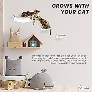 bqw Floating Cat Shelf Wall Mounted Cat Bed Furniture Climbing Wall for Cat Perching Sleeping Lounging with 2 Steps (Curved)