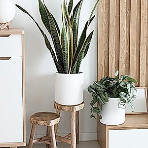 8 Inch Ceramic Plant Pot, Flower Pots for Plants with Drainage Hole, Indoor Planter Pot, White