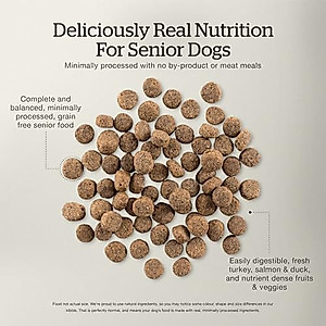 Now Fresh Grain-Free, Dry Dog Food, Real Meat and Fish, Turkey, Salmon and Duck Senior Recipe, All Breed Size, 3.5 lb Bag