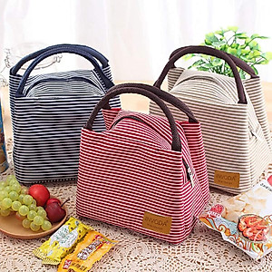 Lunch Bag 4PCS Lunch Organizer for office Lunch Cooler with Zip Closure Foldable Lunch Tote Bag, Reusable Lunch Holder Insulated Lunch Container Picnic Bag for Men Women