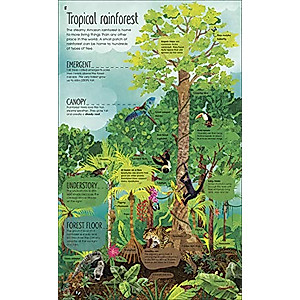 The Magic and Mystery of Trees (The Magic and Mystery of the Natural World)